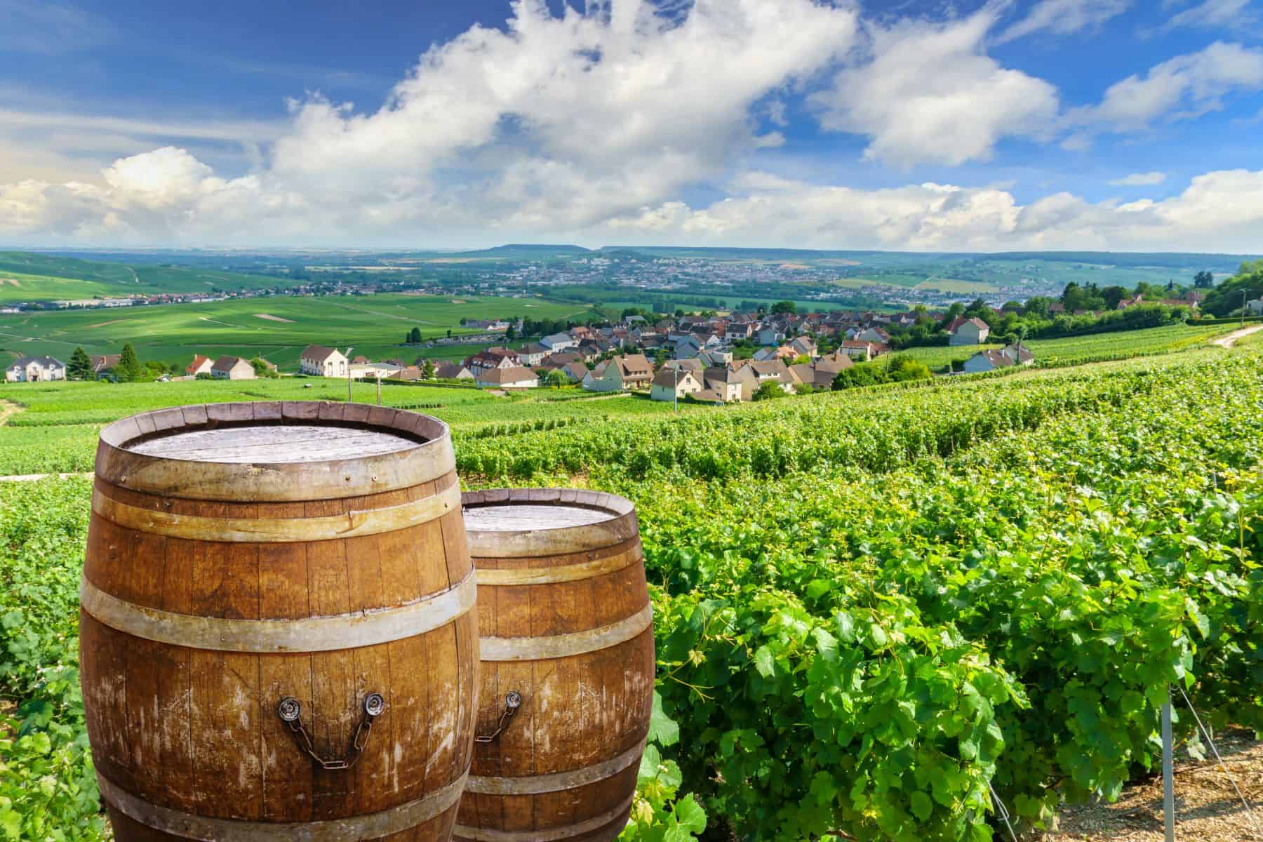 Ești iubitor de vin și vrei să încerci tot ce e nou? Iată top 5 zone ...