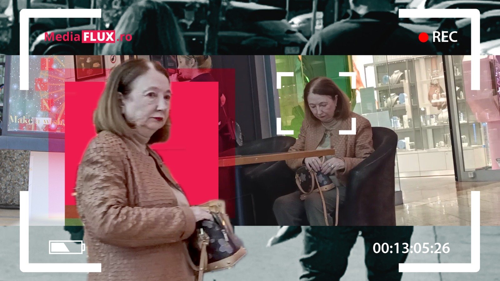 Ce mai face Rodica Stănoiu, fostul ministrul al Justiției