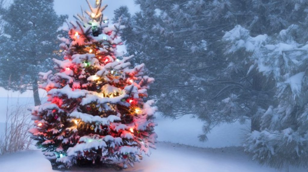 Cum va fi vremea de Crăciun. Meteorologii au actualizat prognoza