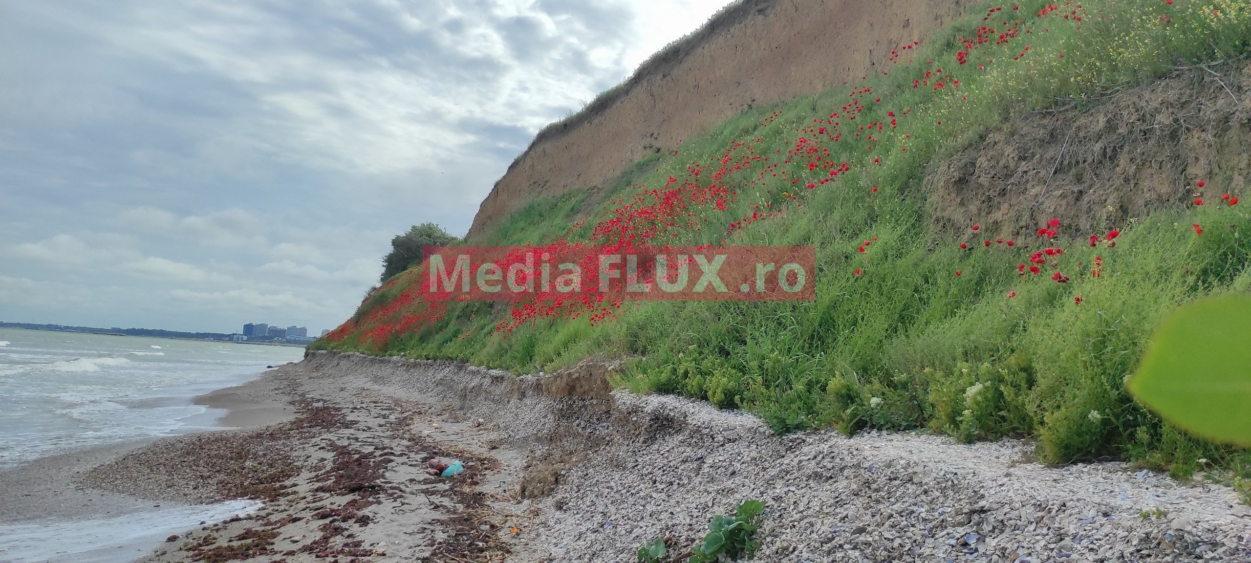 EXCLUSIV Plaja 23 August, un adevărat spectacol al naturii din România ...