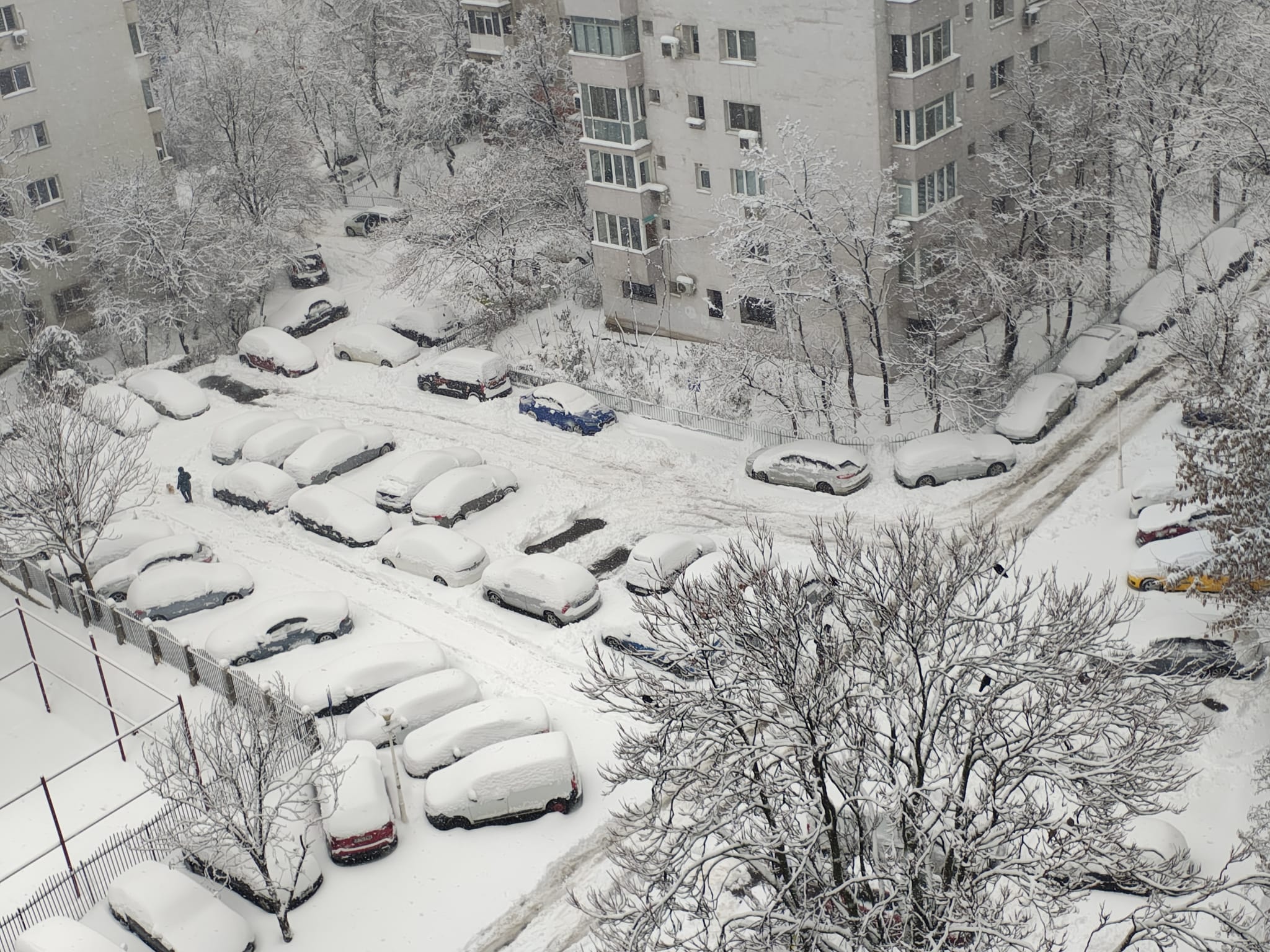 UPDATE: Ninsoarea și viscolul au făcut ravagii în România! Traficul ...